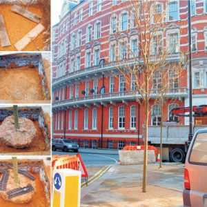 Deadman System for easier planting in urban environments