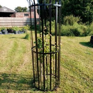 Tree & Shrub Protection from Toms Tree Ties