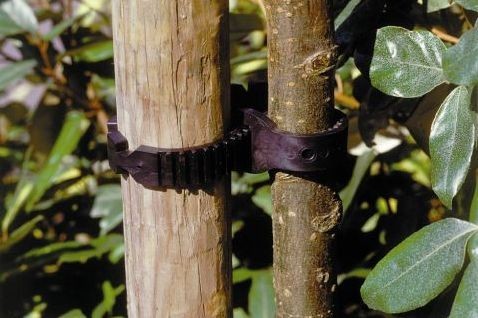 Our Range of Tree Tie & Supports - Toms Tree Ties